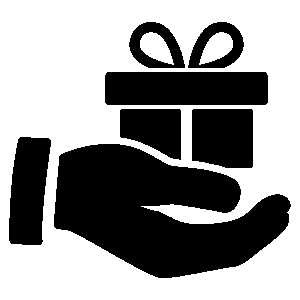 Spirit Plus - Tara Electric Vehicles