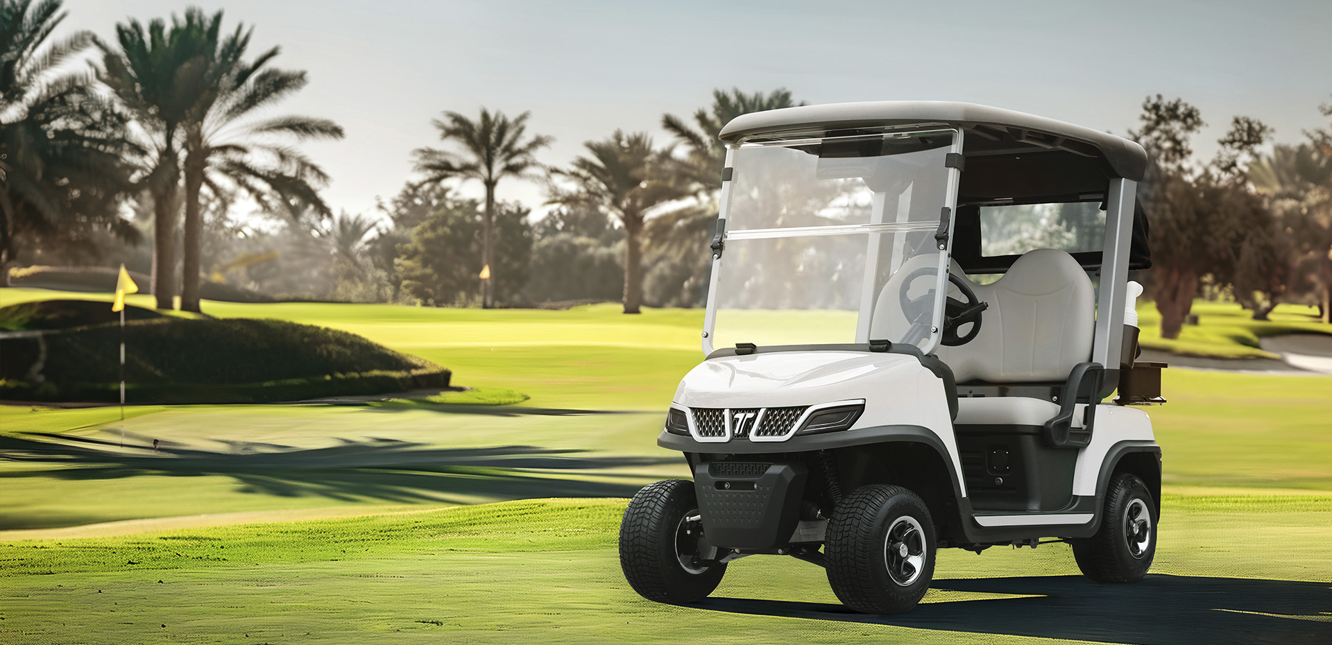 How Fast Golf Carts Go and Where You Can Drive Them - Tara Electric Vehicles