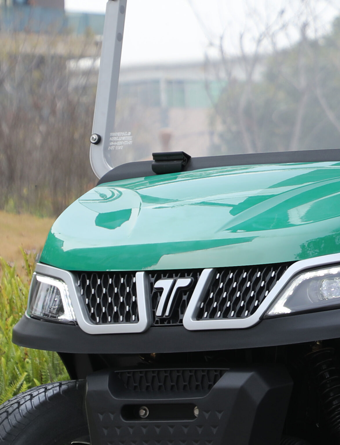 TARA Electric Vehicles - Premium Lithium Golf Cars