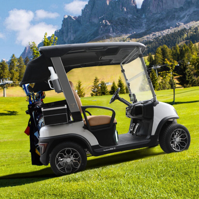 Roadster 2+2 - Tara Electric Vehicles