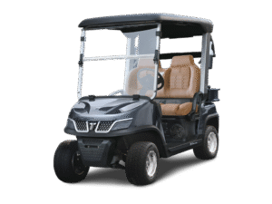 How Fast Golf Carts Go and Where You Can Drive Them - Tara Electric ...