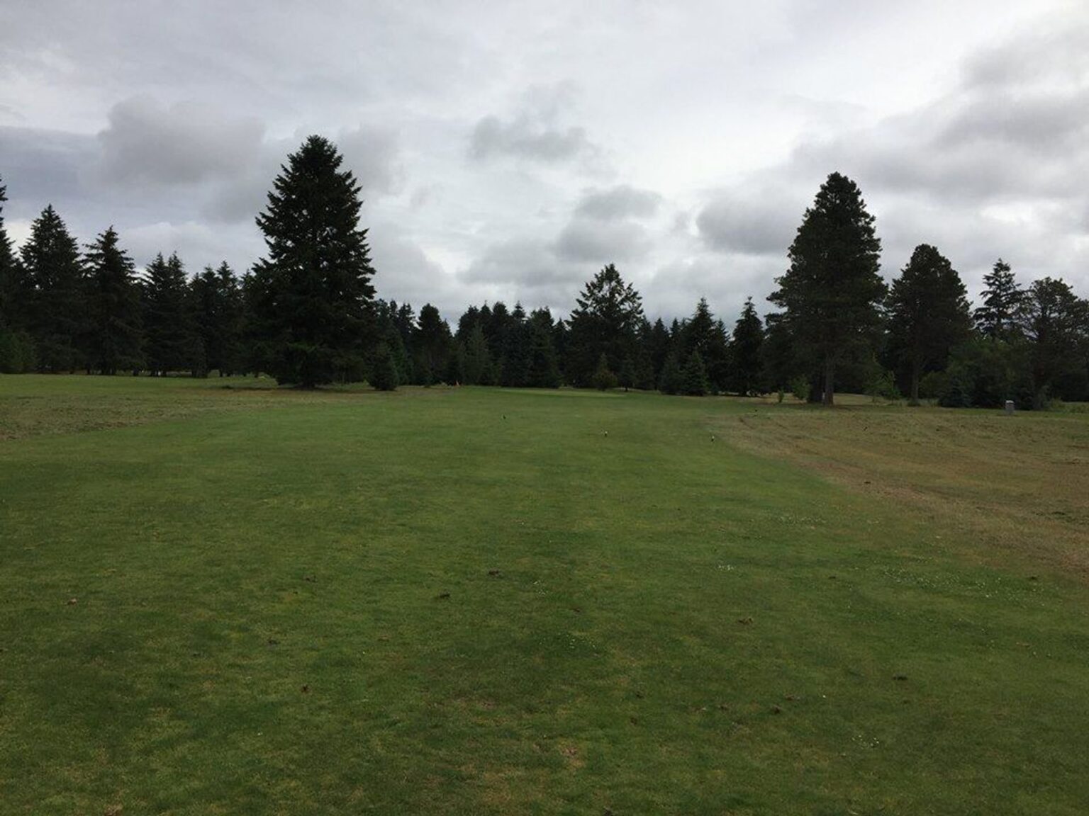 Meadow Park Golf Course: A Tacoma Gem for Golfers of All Levels - Tara Electric Vehicles
