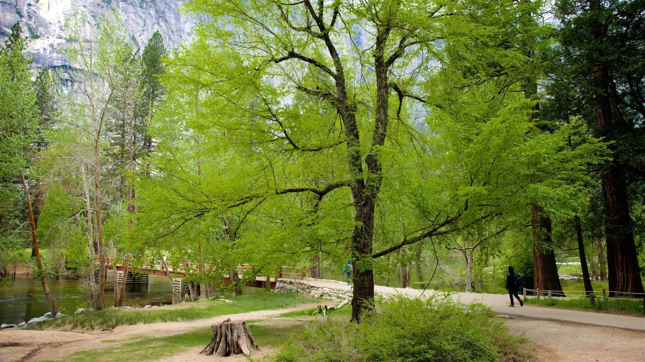 Swinging Bridge Picnic Area: A Perfect Outdoor Escape in Yosemite ...