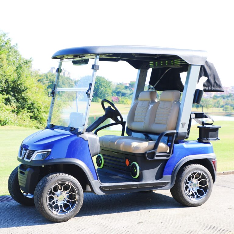 How Does an Electric Golf Cart Work - Tara Electric Vehicles