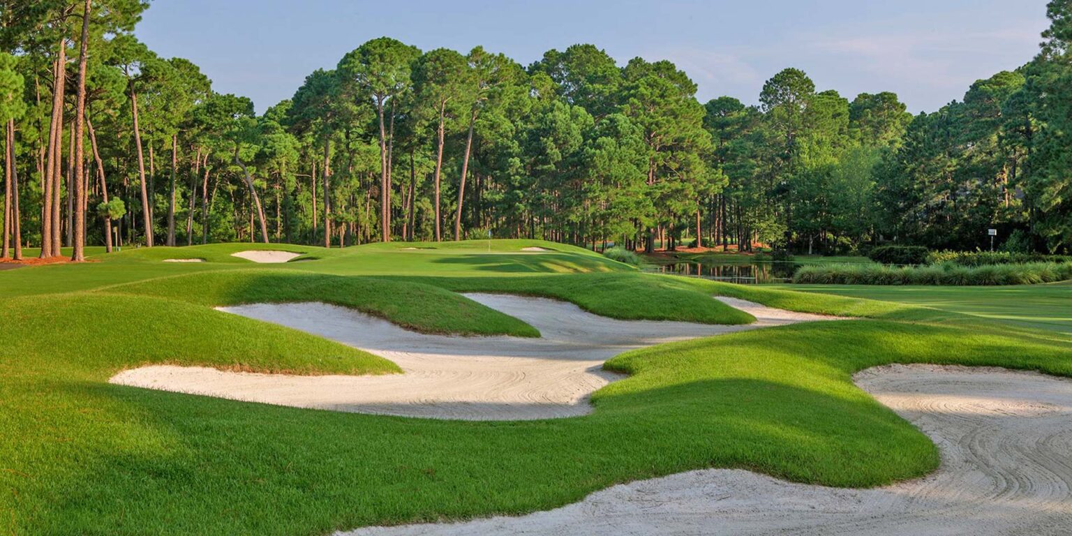Hilton Head Golf Courses – A Golfer Is Paradise - Tara Electric Vehicles