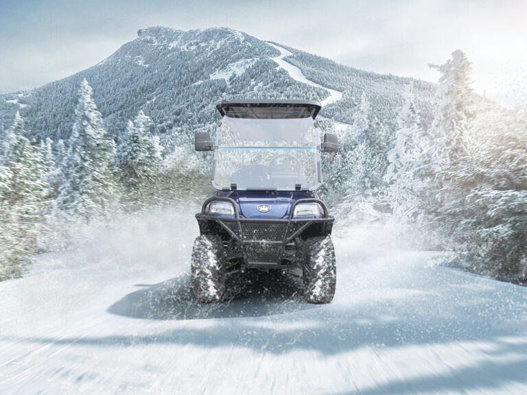 What Golf Cart Has a Crown Logo Meet Evolution Golf Carts - Tara ...