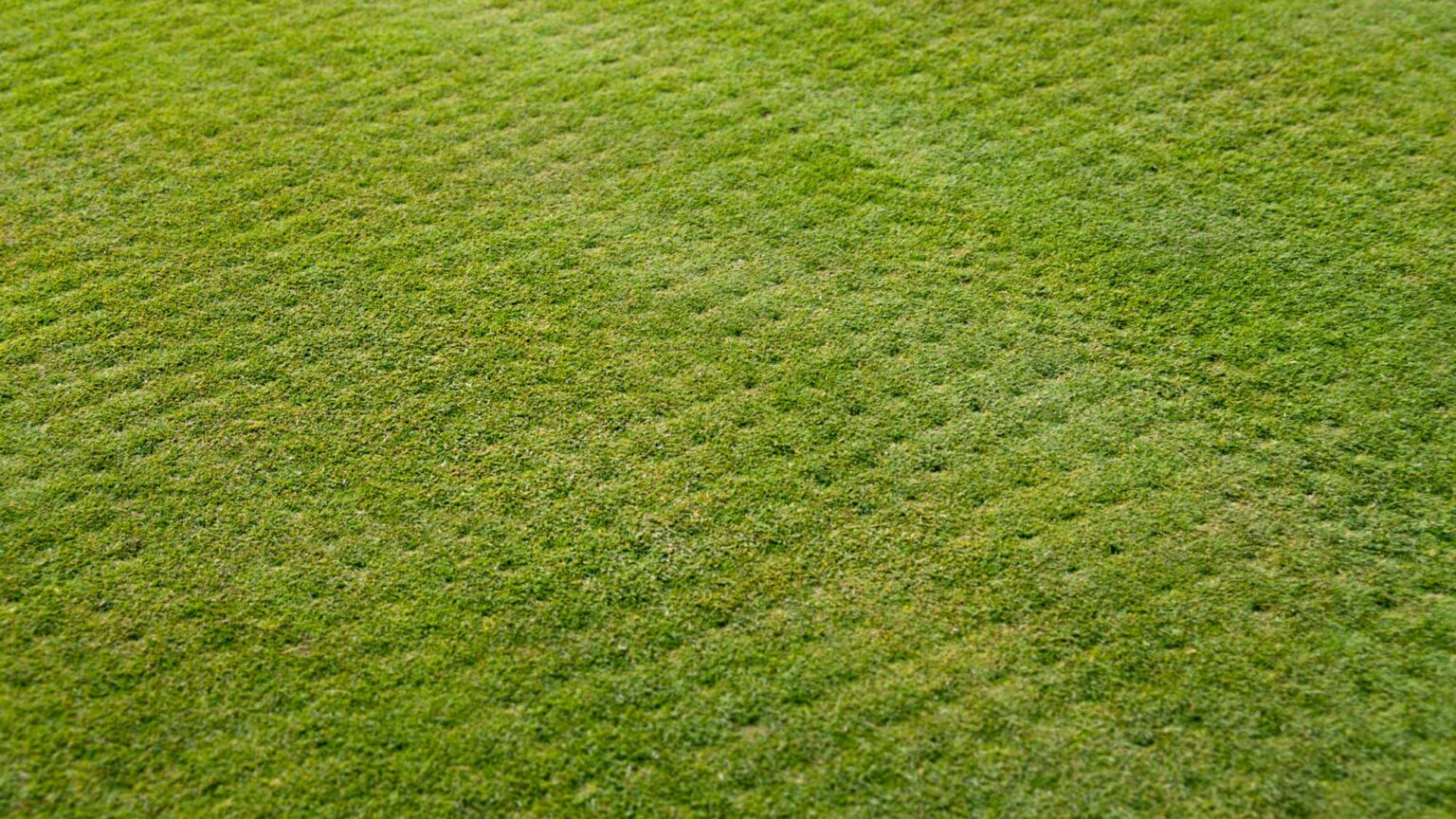 How Long Does Aerification Affect a Golf Course? Understanding the ...