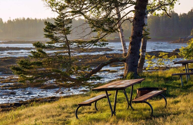 Seawall Picnic Area:Family-Friendly Coastal Day Guide (Acadia, ME ...