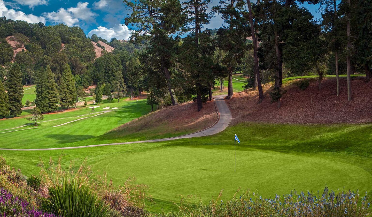 Explore Tilden Park Golf Course: A Hidden Gem in Berkeley, CA - Tara ...