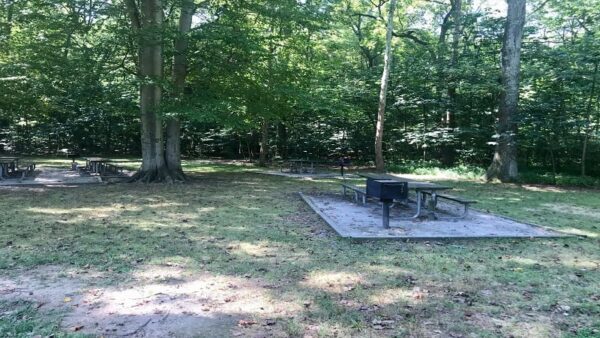 Mason Neck State Park Picnic Area | Family Picnic & Nature Guide in ...
