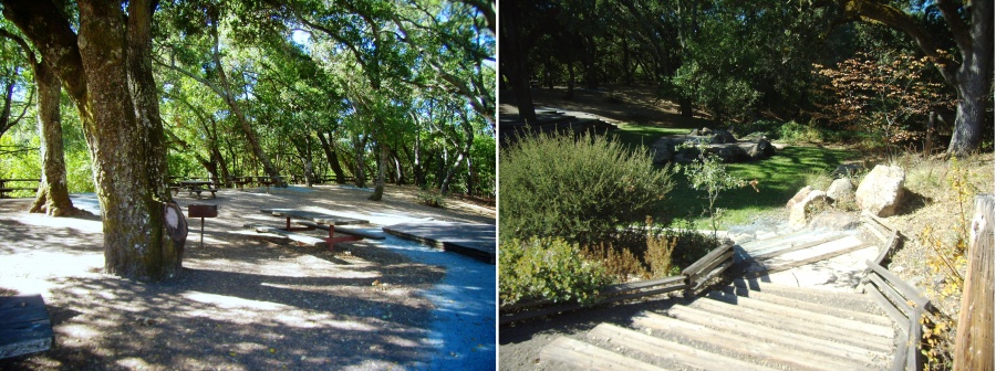 Newt Hollow Picnic Area: Ideal Venue for Events in Briones Regional ...