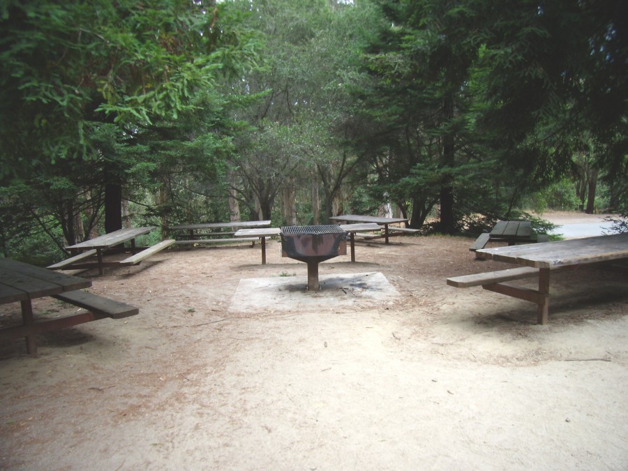 Island Picnic Area Berkeley: A Family-Friendly Picnic & BBQ Day Trip ...