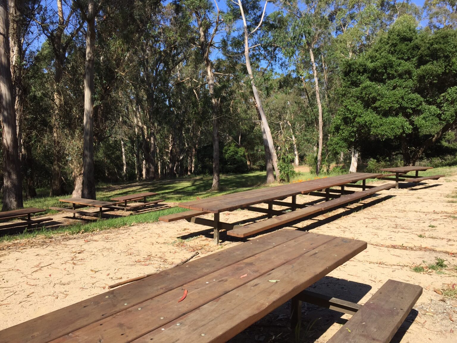 Mineral Springs Picnic Area in Tilden Regional Park: Ideal Family ...